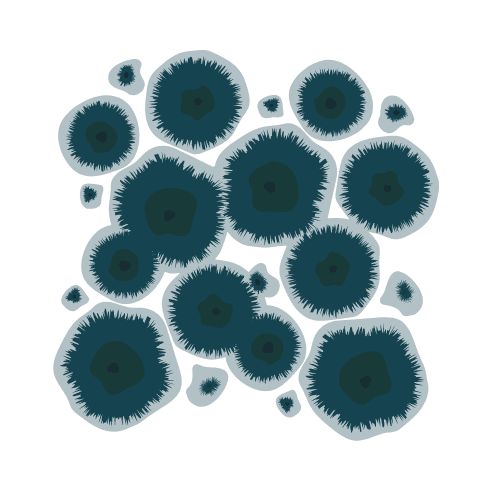 USmold - FAQs About Insidious Mold Infections
